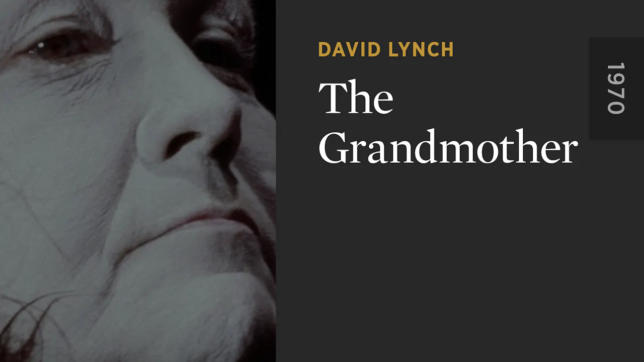 The Grandmother Short Films By David Lynch The Criterion Channel the-grandmother-short-films-by-david-lynch-the-criterion-channel