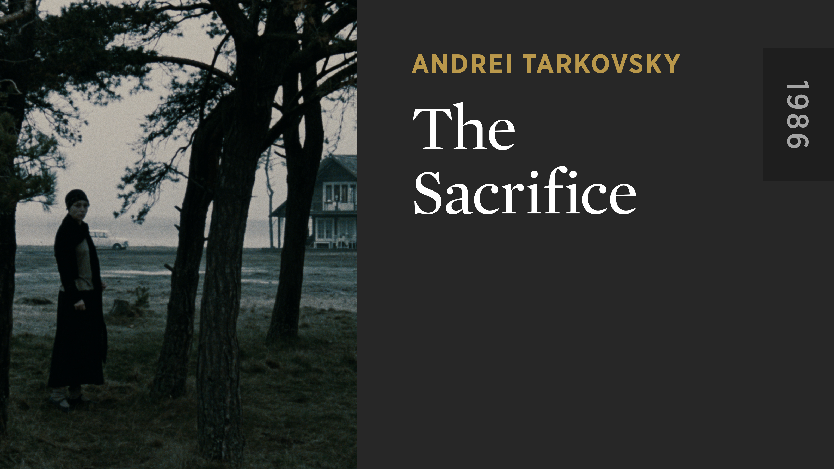 Directed by Andrei Tarkovsky - The Criterion Channel