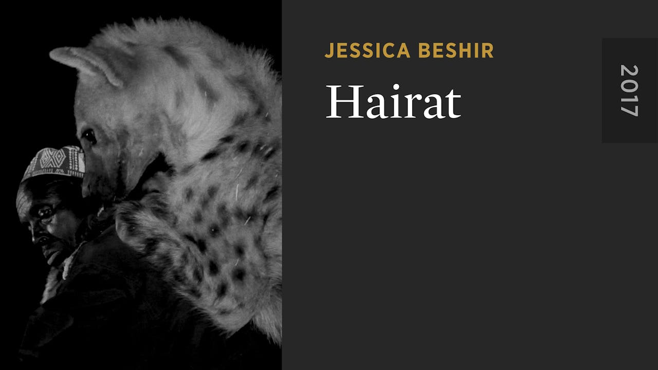 Hairat - Hairat - The Criterion Channel