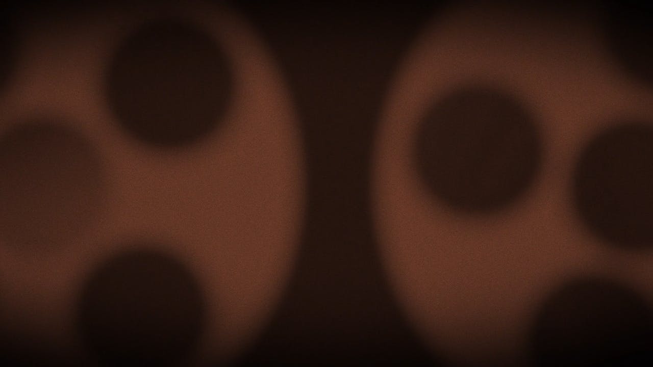 Eric Rohmer on A TALE OF AUTUMN - The Criterion Channel