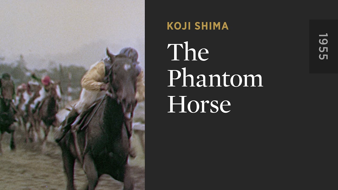 The Phantom Horse - The Phantom Horse - The Criterion Channel