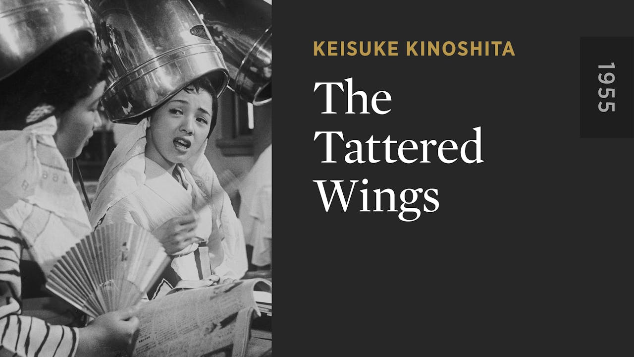 The Tattered Wings - The Tattered Wings - The Criterion Channel
