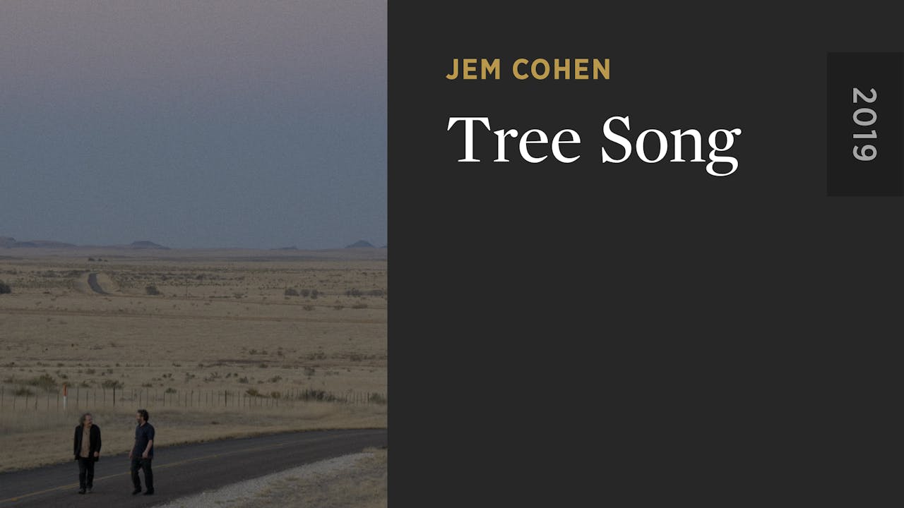Tree Song - The Criterion Channel