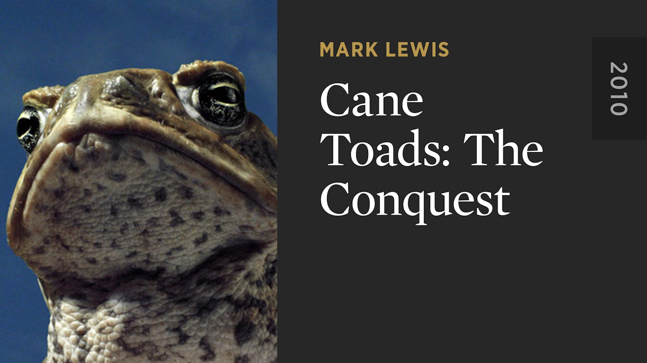 Cane Toads: The Conquest - The Criterion Channel