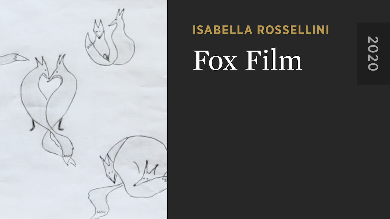 Fox Film - The Criterion Channel
