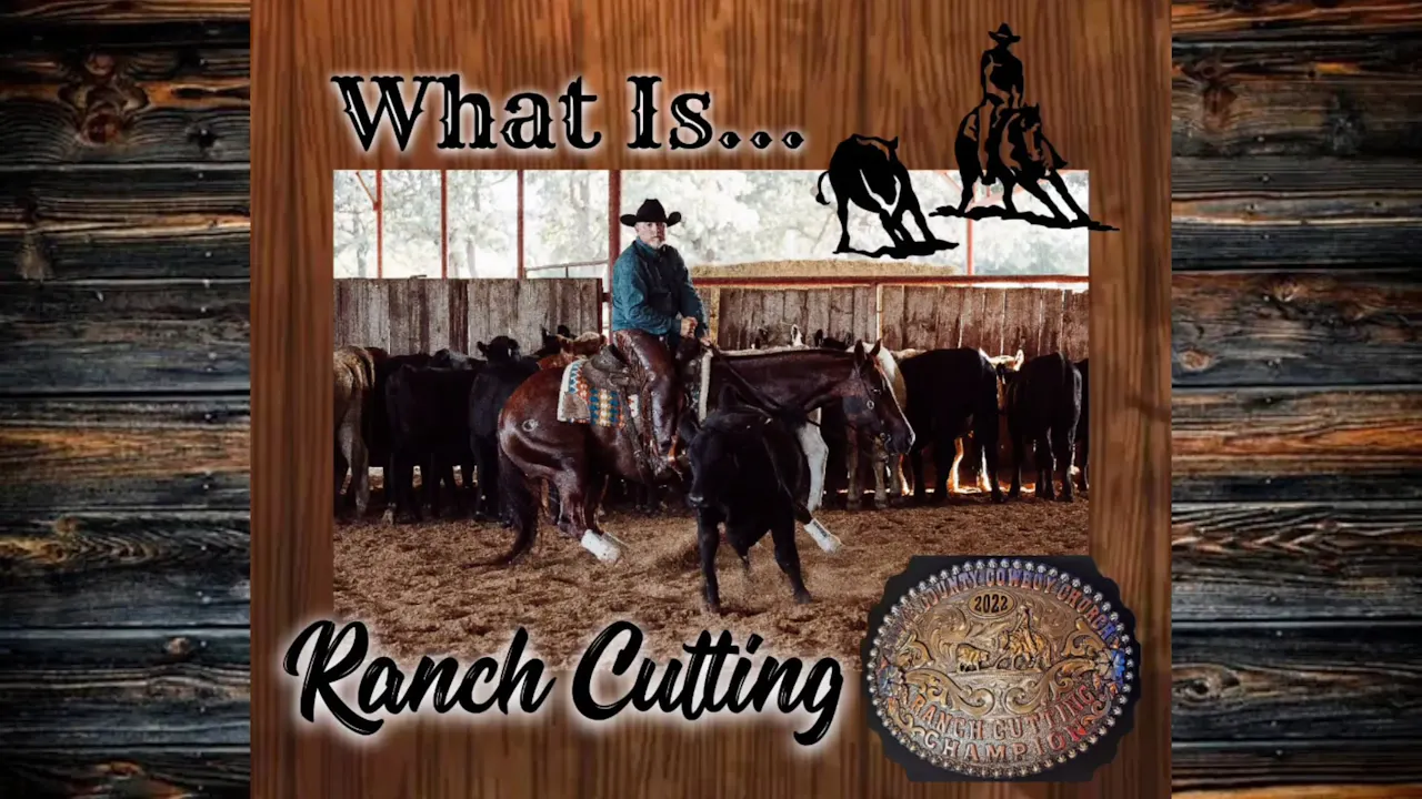 What is Ranch Cutting? - CW Elite Cow Horses