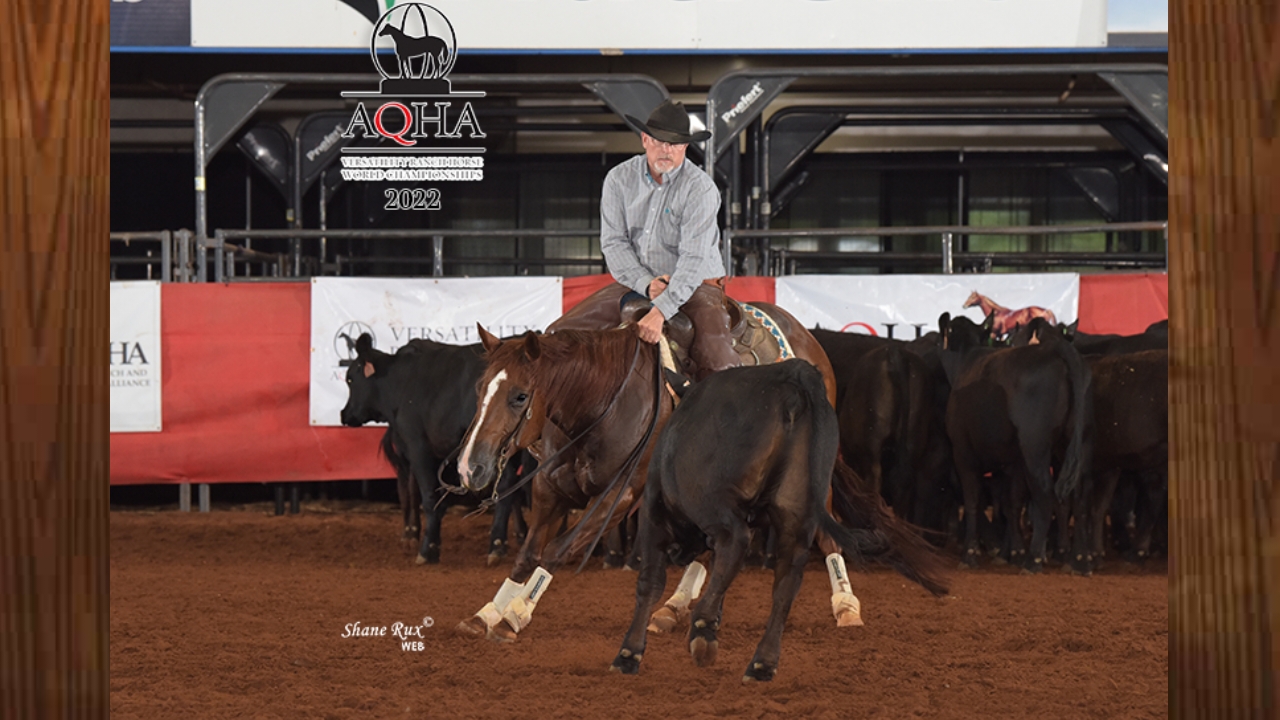 Training Cutting & Cow Horses - CW Elite Cow Horses