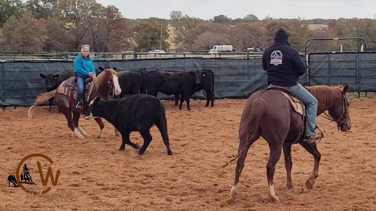 Lessons On Cattle - CW Elite Cow Horses