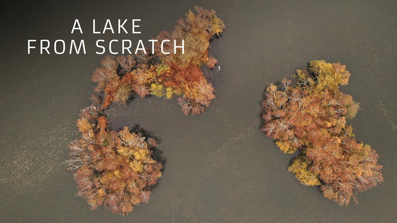 Wind Lanes & Feeding | Embryo Angling | S1: Ep.2 - Season 1 - CYPOGRAPHY