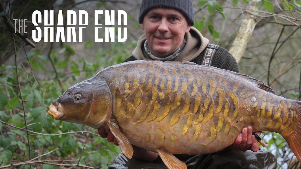 Covid Blues | Nigel Sharp | S1: Ep.3 - Season 1 - CYPOGRAPHY