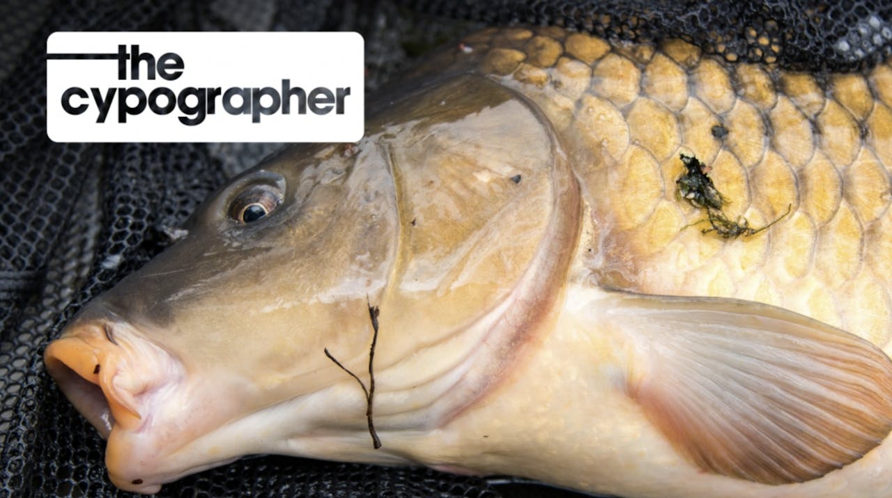 Eye Candy | Elliott Gray | S1: Ep.6 - Season 1 - CYPOGRAPHY