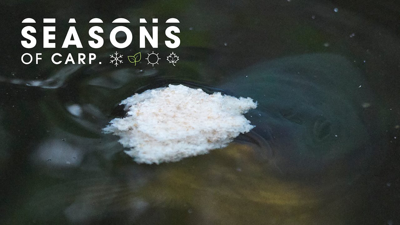 Spring | Simon Scott | S1: Ep.2 - Spring | Simon Scott - CYPOGRAPHY