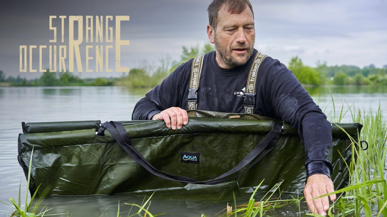 Jon McAllister | Strange Occurrence - In Memory of JONNY MAC - CYPOGRAPHY