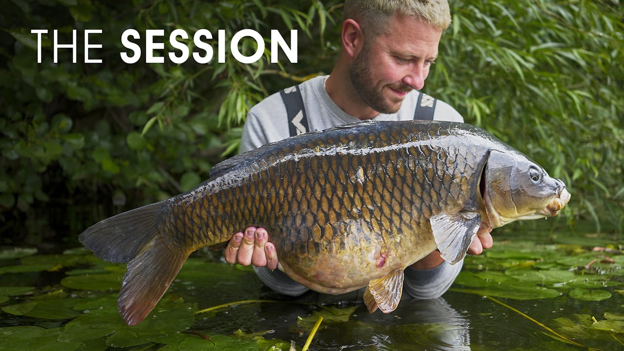 Birch Grove | Steve Renyard & Elliott Gray | S2: Ep.8 - Season 2 ...