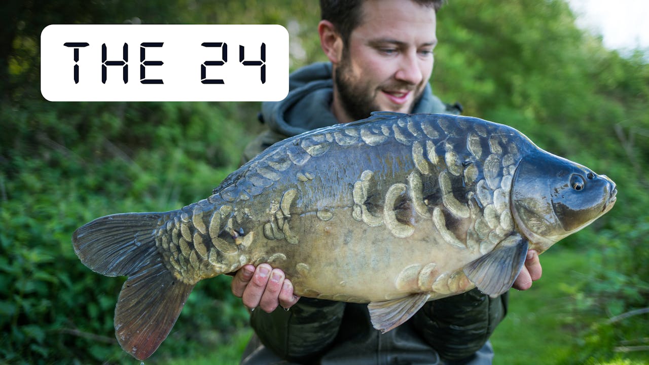 St.Johns, Linear Fisheries | Elliott Gray | S1: Ep.1 - Season 1 ...