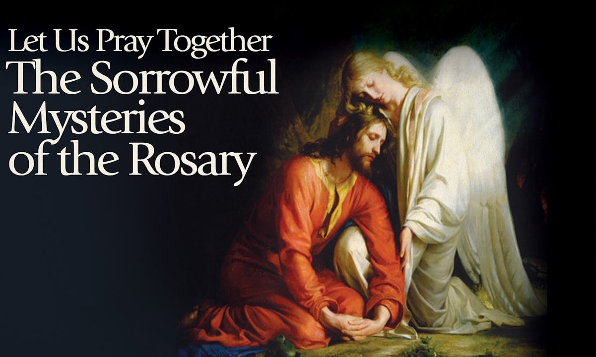 The Sorrowful Mysteries of the Rosary - Daily TV Mass - Warming ...