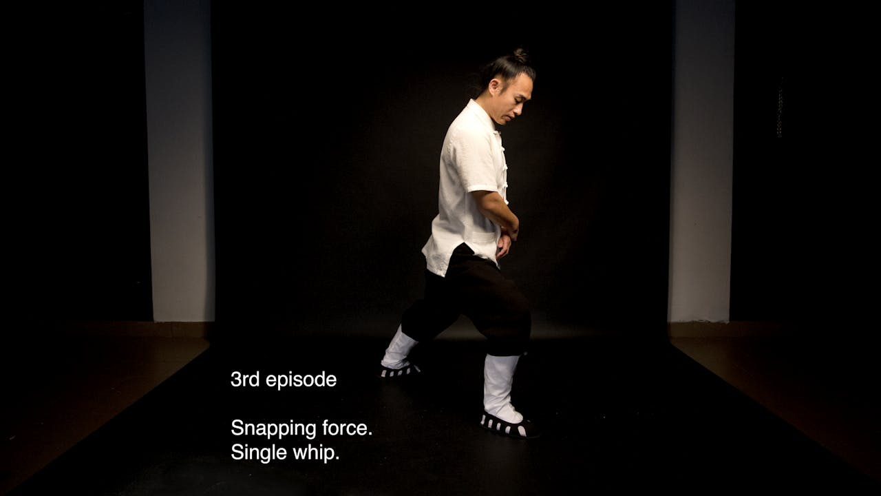 Snapping Force, Single Whip - Daoist Gate Streaming Video