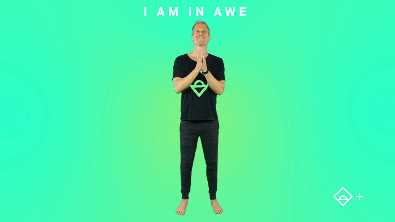 NEW | 11 Min Movement with Dane | Go Inward - DAYBREAKER+