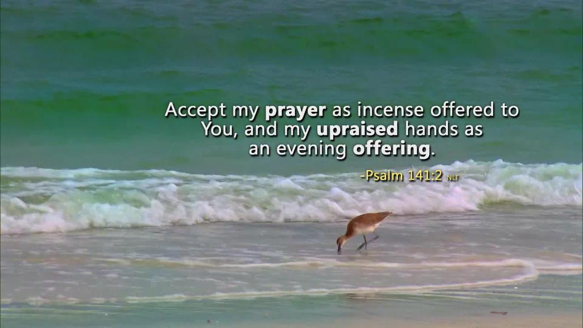 Reflections - Daystar TV