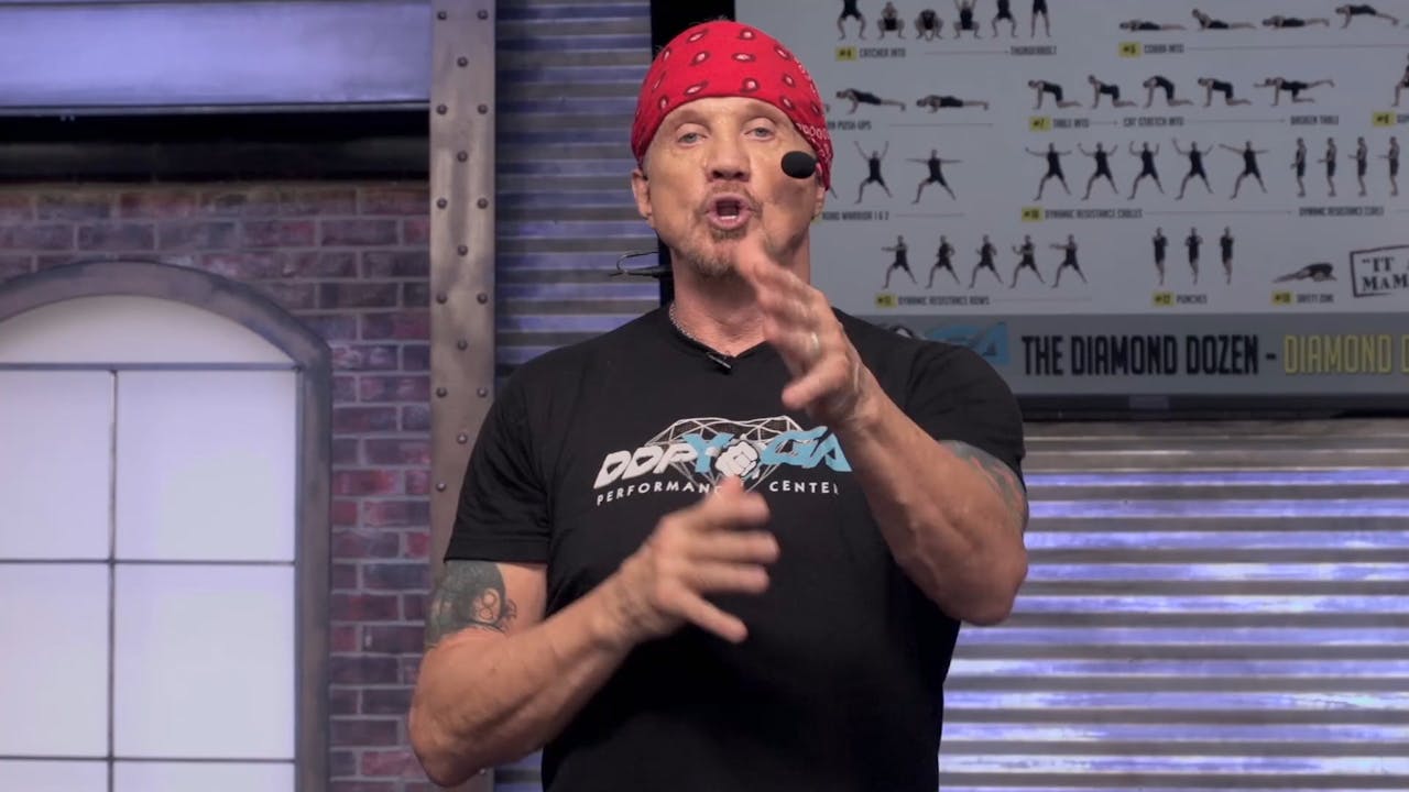 Diamond Dozen - Punches - DDPY PT - A Low Cost Alternative to Physical ...