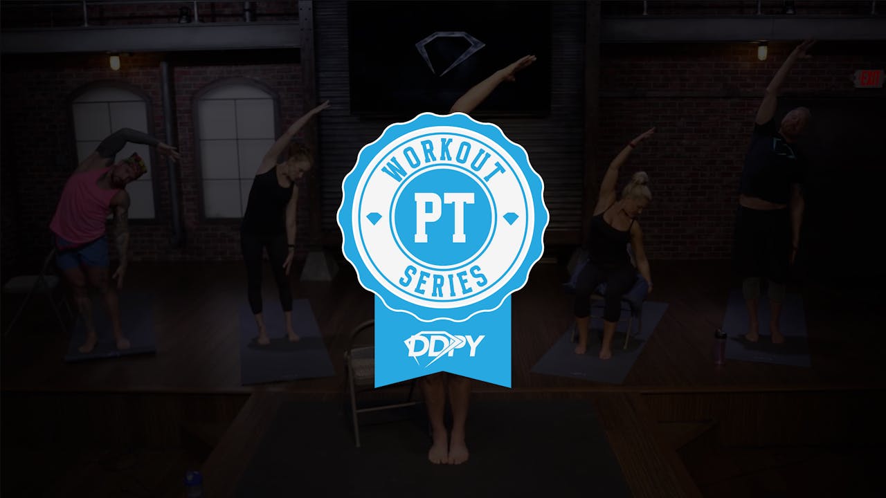 DDPY PT Introduction - DDPY PT - A Low Cost Alternative to Physical ...