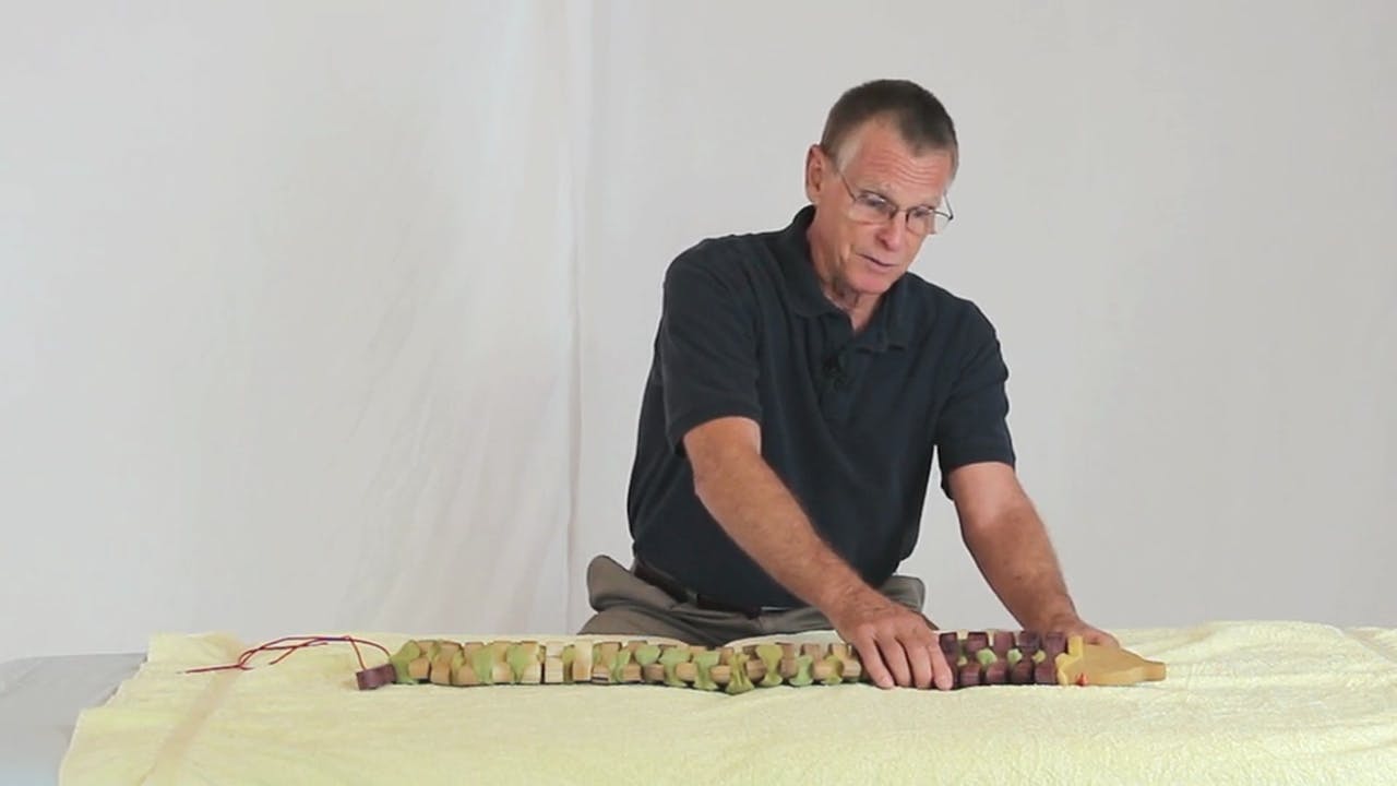 Deep Tissue Massage - An Integrated Full Body Approach: 15 ...