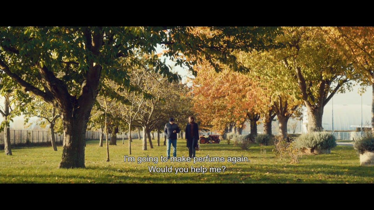 Perfumes (Trailer) - Distrib Films Virtual Cinema