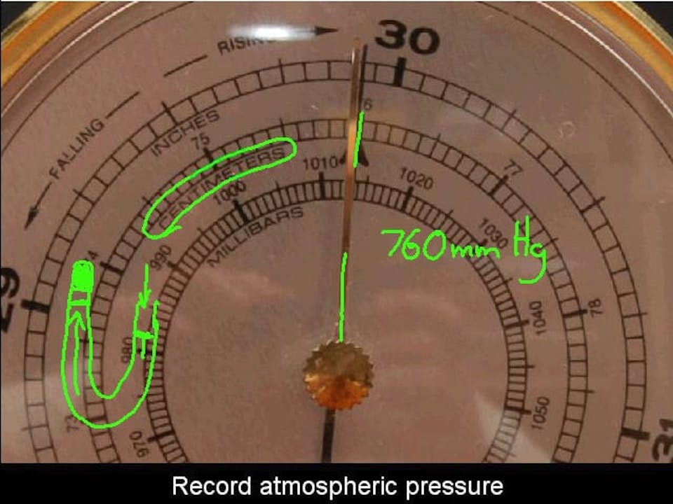 Lab 21 ICP - DIVE into Math and Science