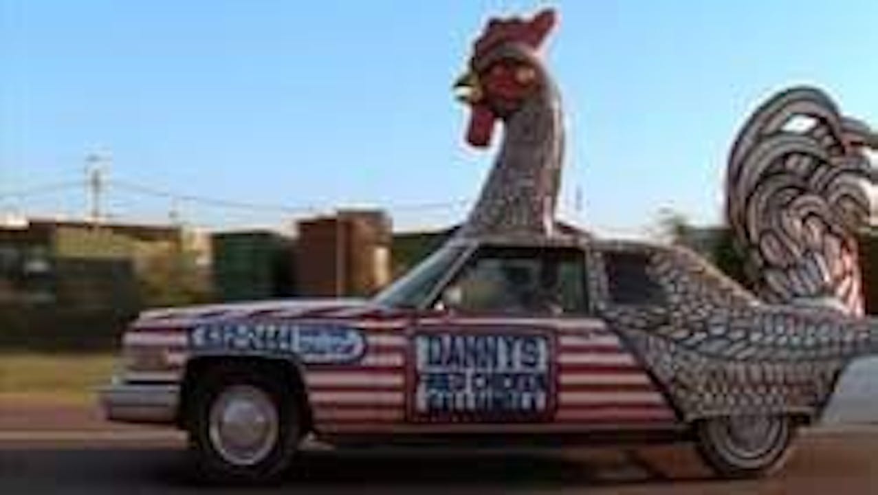 The Natural History of the Chicken - Docsville - Watch Documentaries ...