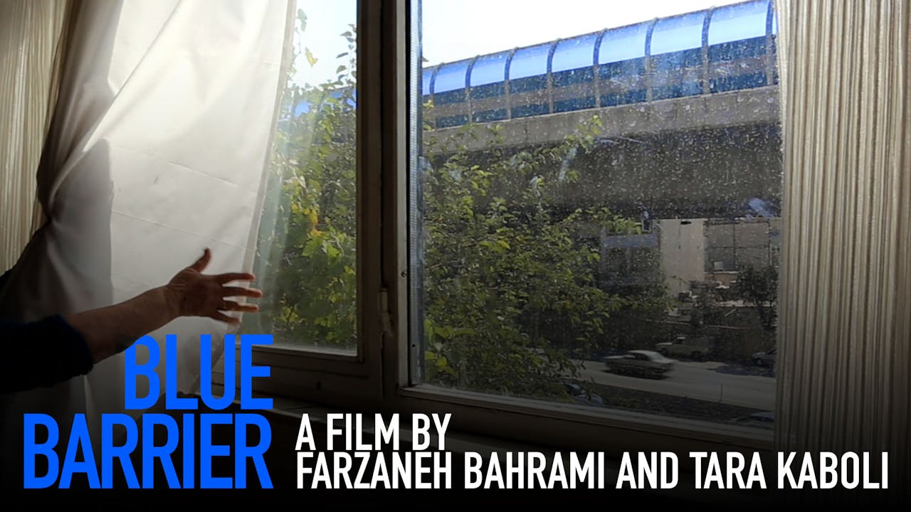 Blue Barrier - Docunight