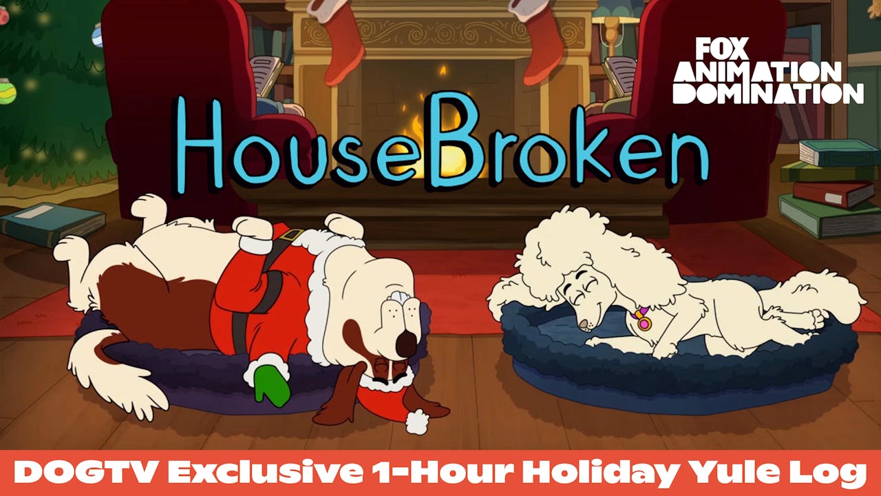 HouseBroken: Holiday Yule Log - DOGTV HouseBroken: Holiday Yule Log - DOGTV