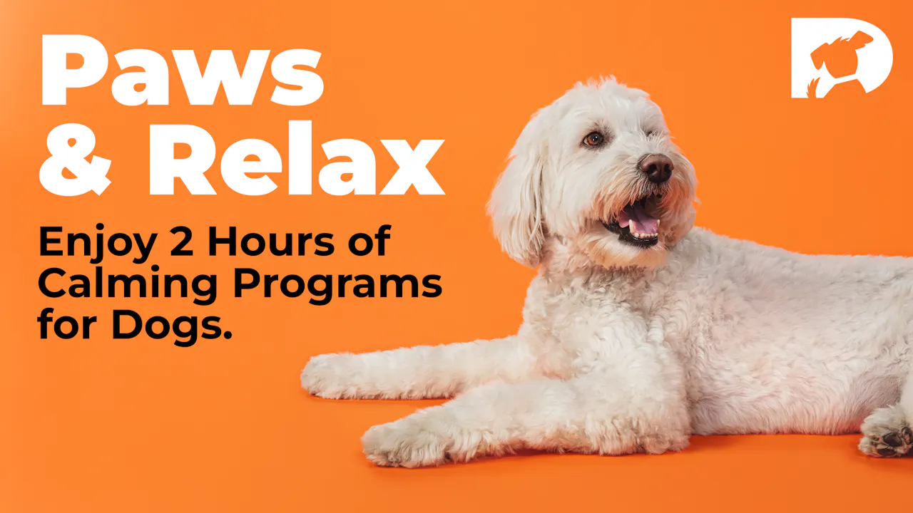 Paws & Relax - DOGTV