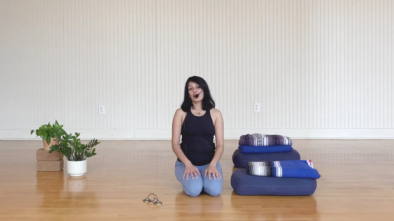 Meditation: Of the Heart (Part I) Sabbi Lall 25 min - Meditation - Down ...