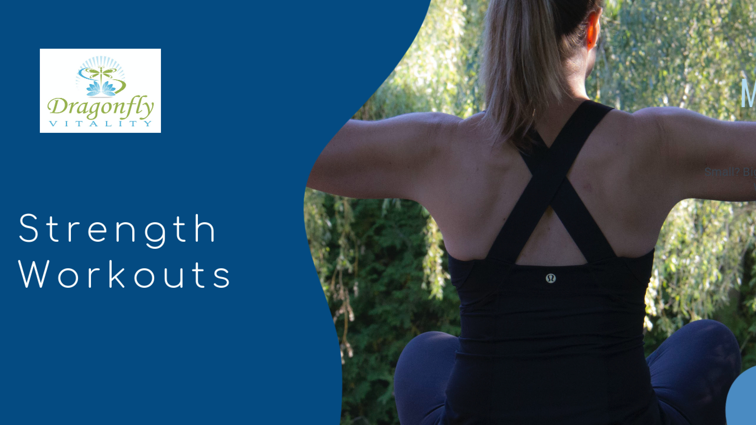 Strength workouts - Dragonfly Vitality Workouts