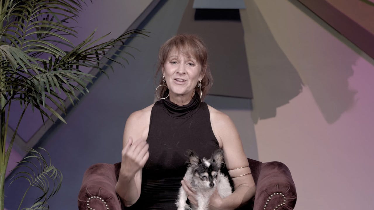 Tip Karen Rontowski - Dry Bar Comedy+