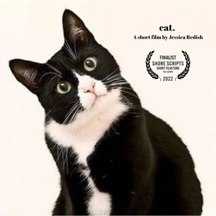 cat., 9min., USA, Comedy/Romance - ROMANCE SHORT FILMS - WILDsound ...