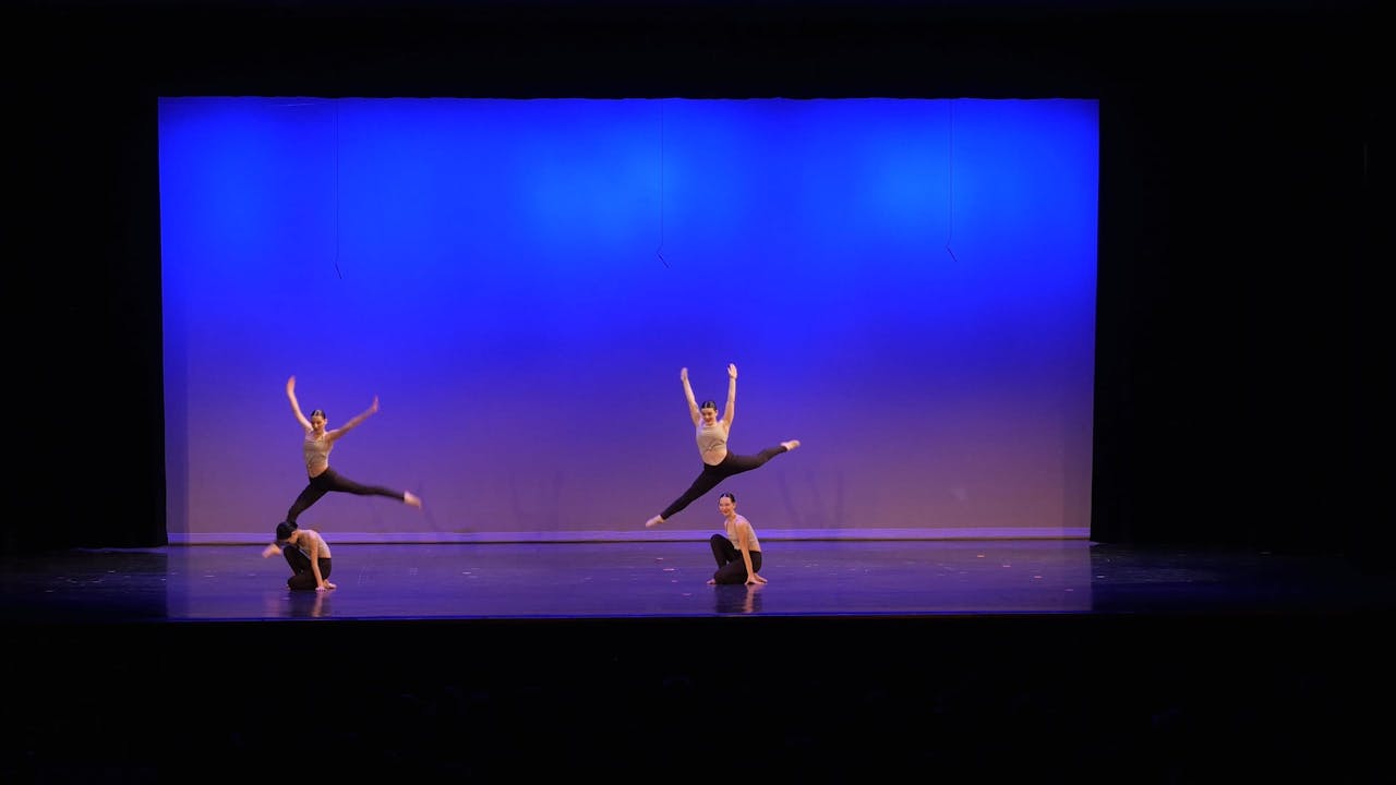 24 - No Roots - Dance Studio M