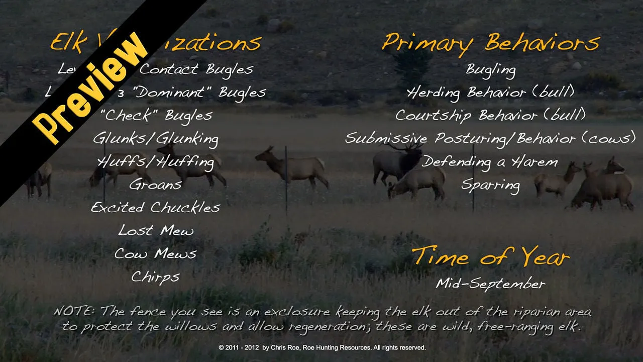 Preview - The Gallery Example - Elk Hunting Institute by Roe Hunting ...
