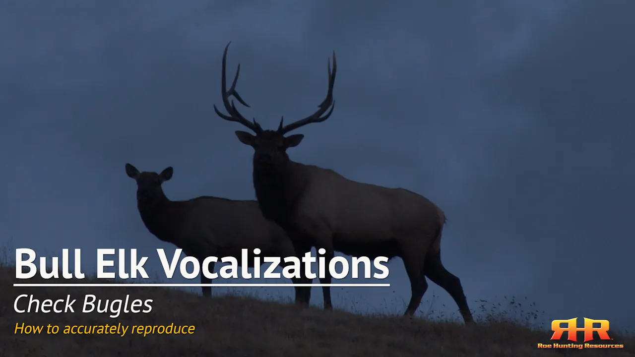 3.2. Check Bulges - How to accurately reproduce - Bull Elk ...