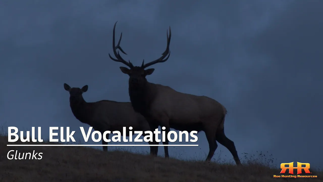 9. Glunks - Introduction - Bull Elk Vocalizations - Elk Hunting ...