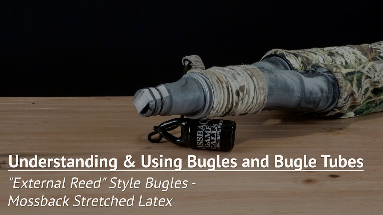 "External Reed" Style Bugles - Mossback Stretched Latex - Understanding ...