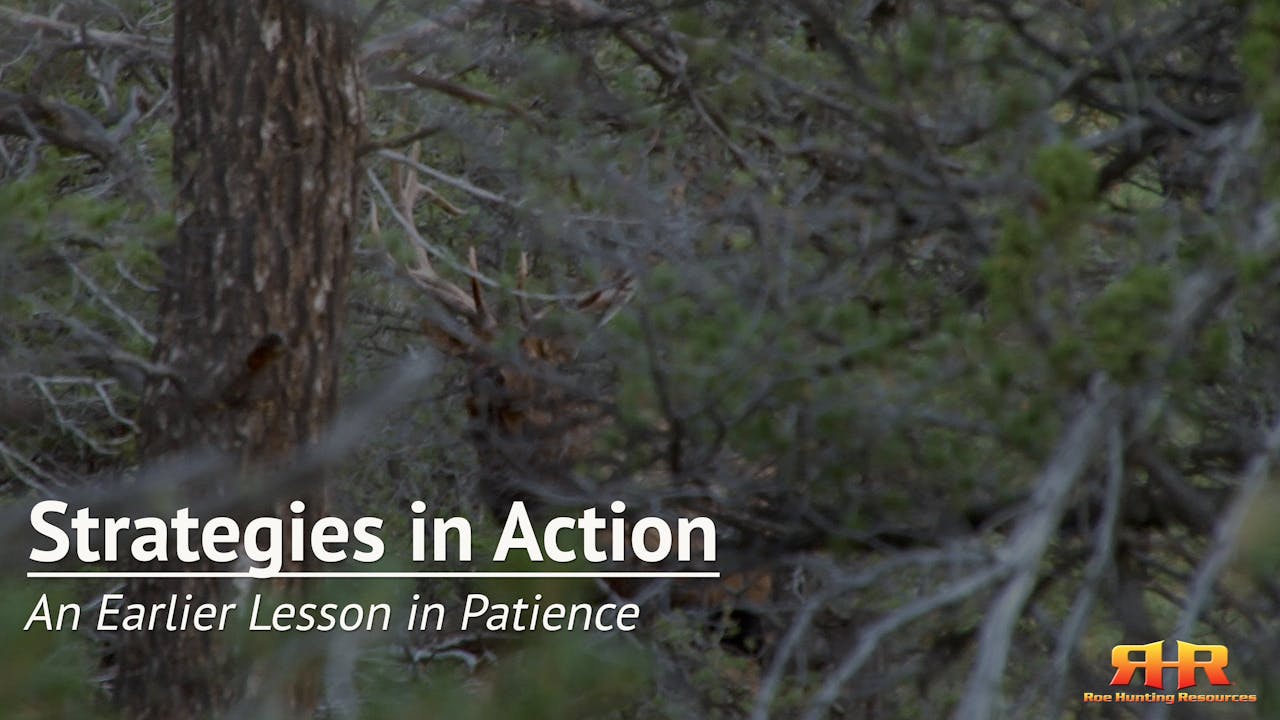 An Earlier Lesson in Patience - Strategies in Action - Elk Hunting ...