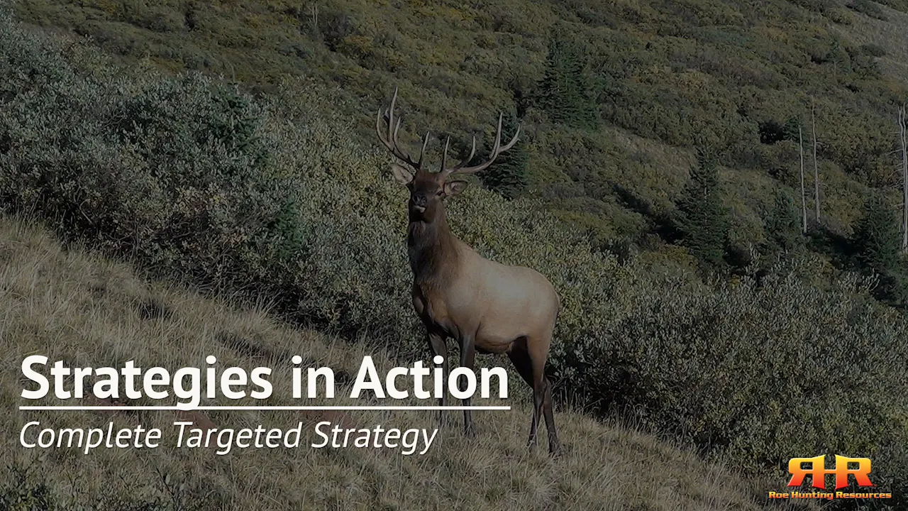 Complete Targeted Strategy - Strategies in Action - Elk Hunting ...