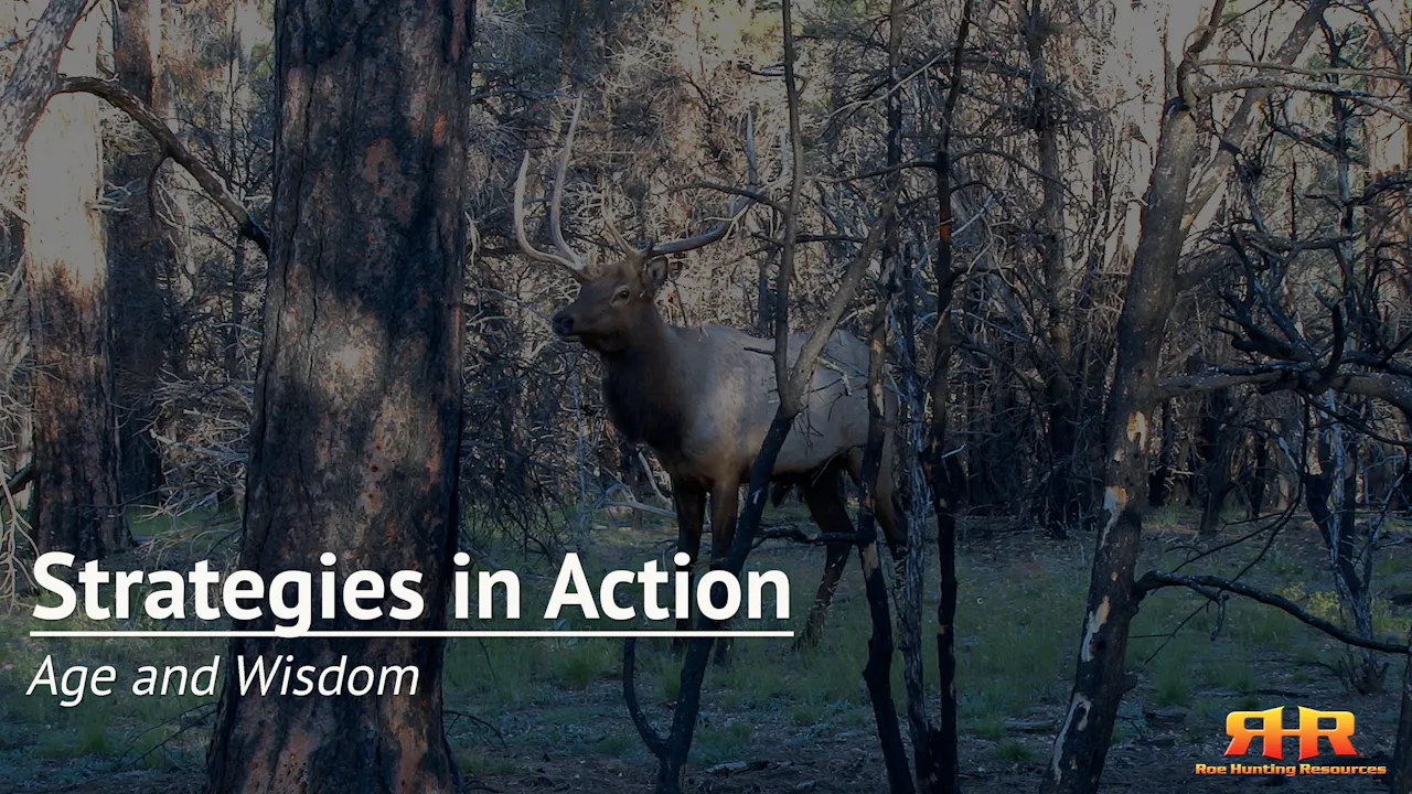 Age and Wisdom - Strategies in Action - Elk Hunting Institute by Roe ...