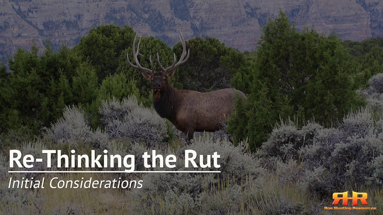 Initial Considerations - Re-Thinking the Rut - Elk Hunting Institute by ...