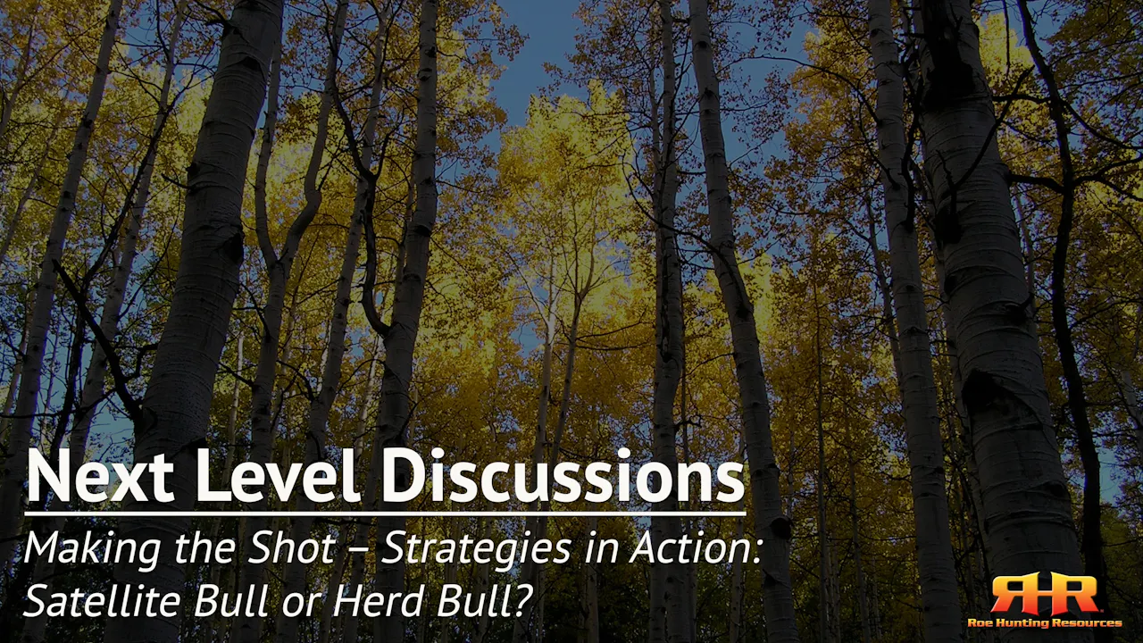 Making the Shot – Strategies in Action: Satellite Bull or Herd Bull ...