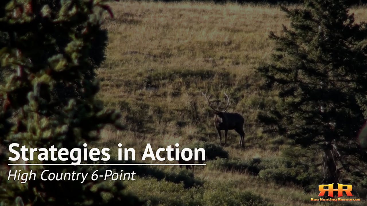 High Country 6-Point - Strategies in Action - Elk Hunting Institute by ...
