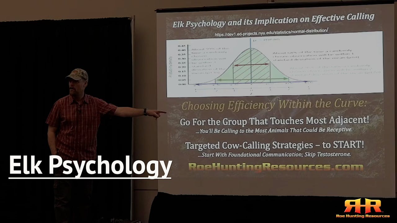 Elk Psychology - Elk Behavior - Elk Hunting Institute by Roe Hunting ...