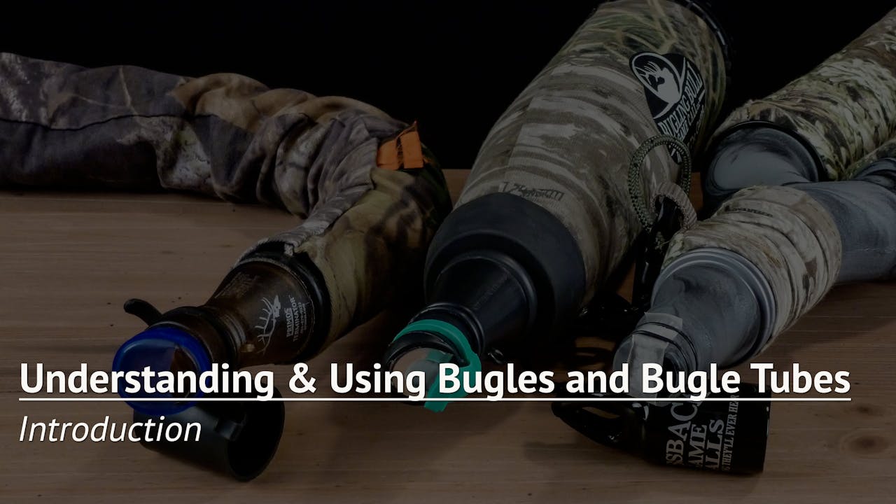 Understanding and Using Bugles and Bugle Tubes - Introduction - Elk ...
