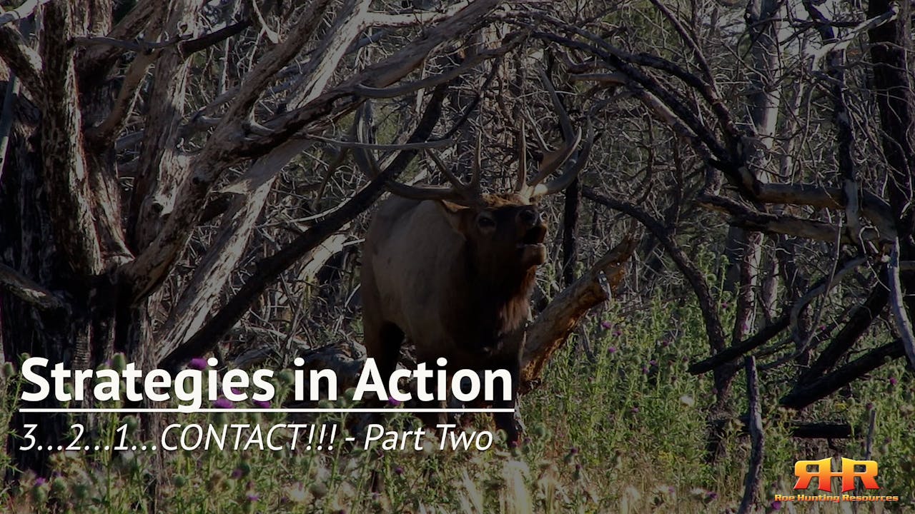 3...2...1...CONTACT!!! - Part Two - Strategies in Action - Elk Hunting ...